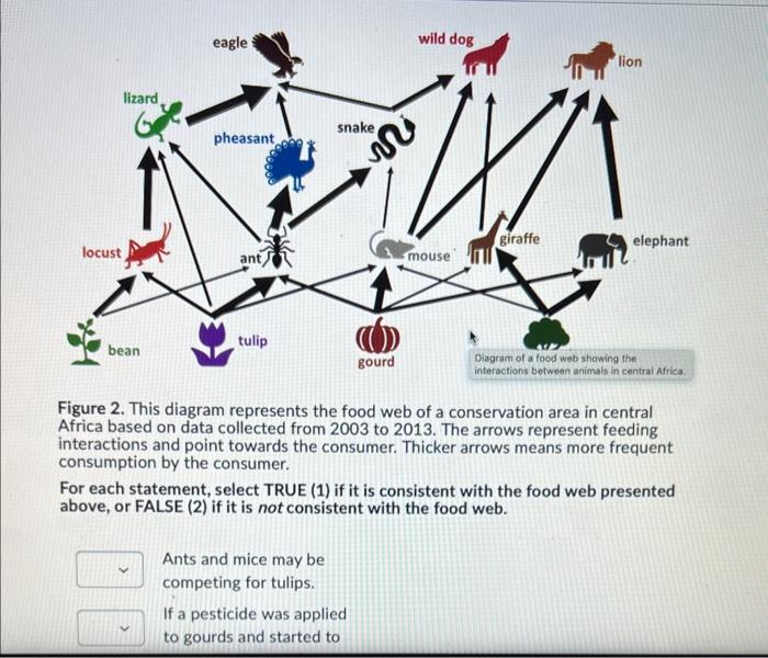Solved Figure 2 . This diagram represents the food web of a | Chegg.com