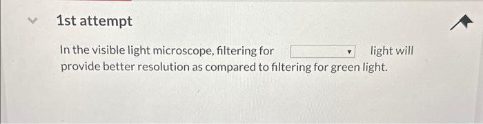 Solved V 1st attempt In the visible light microscope, | Chegg.com