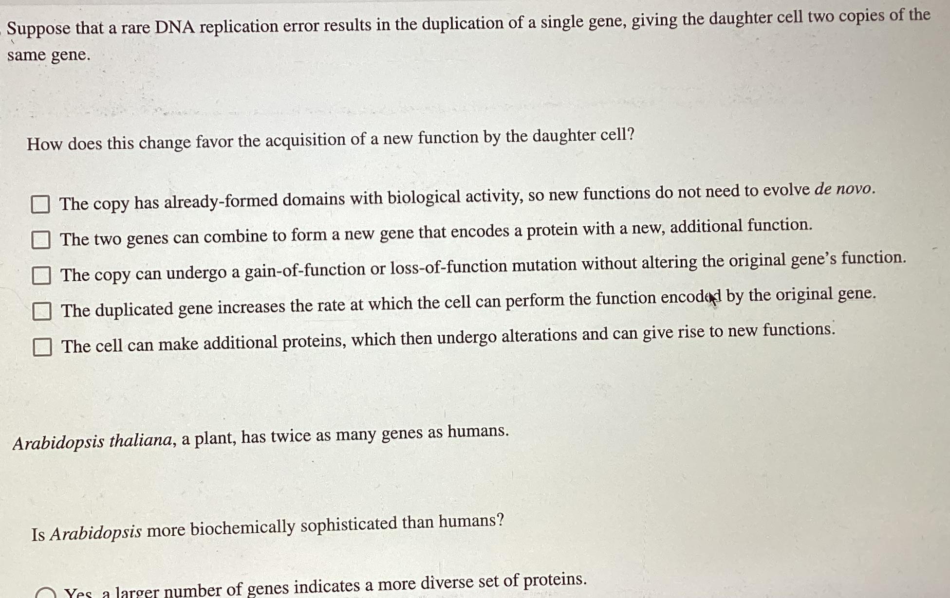 Solved Suppose that a rare DNA replication error results in | Chegg.com
