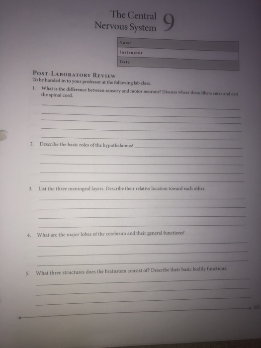 Solved The Central Nervous System Name Instructor Date | Chegg.com