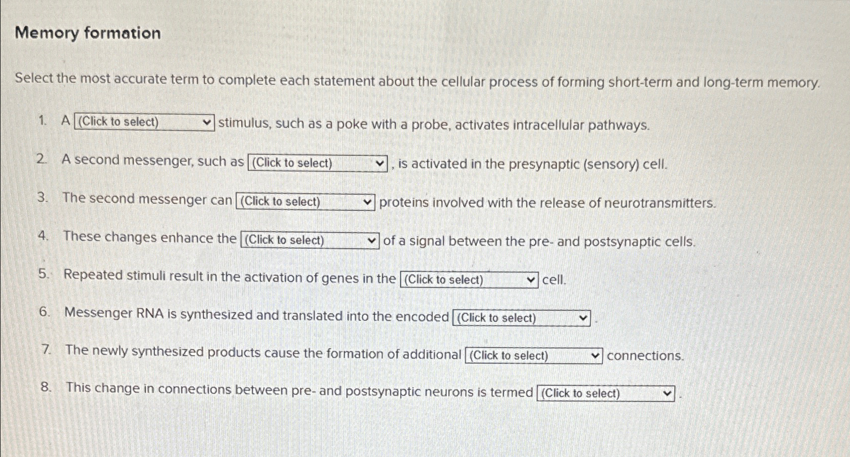 Solved Memory formationSelect the most accurate term to | Chegg.com