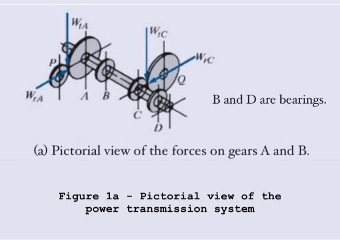 Solved and D are bearings. (a) Pictorial view of the forces | Chegg.com