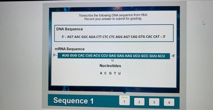 Solved Transcribe The Following Dna Sequence From Hba