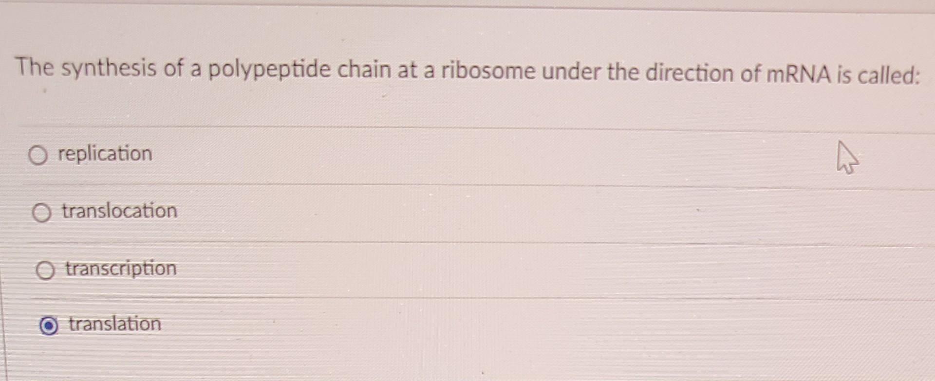 Solved The synthesis of a polypeptide chain at a ribosome | Chegg.com