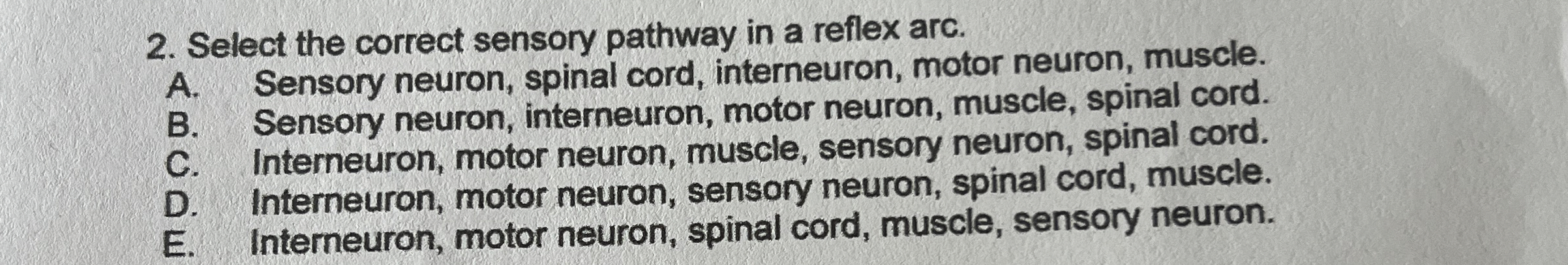 Solved Select the correct sensory pathway in a reflex arc.A. | Chegg.com