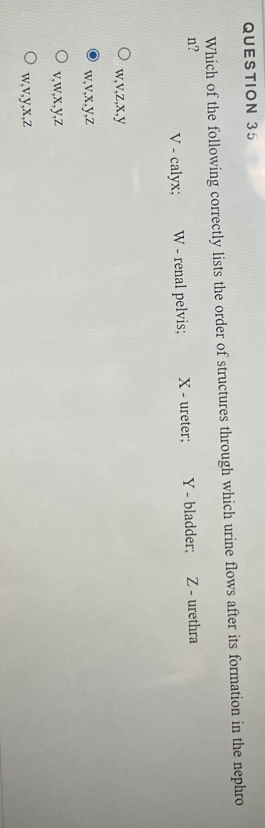 Solved QUESTION 35Which of the following correctly lists the | Chegg.com