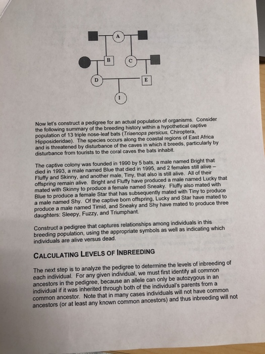Solved Conservation Genetics Inbreeding and Captive Breeding | Chegg.com
