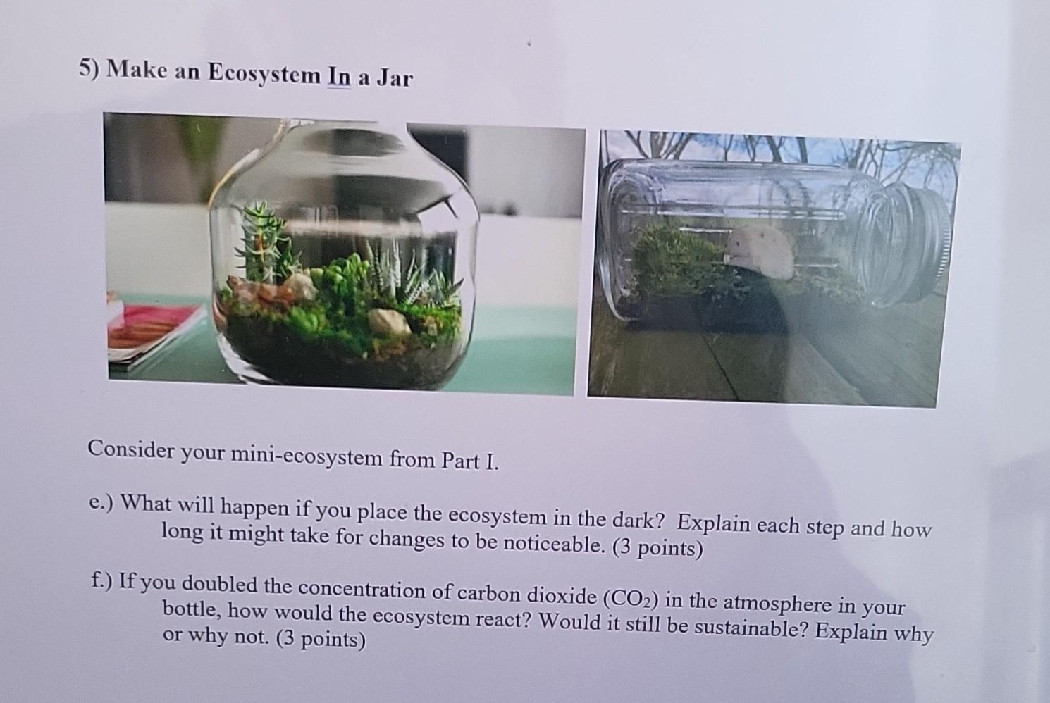 Solved 5) Make an Ecosystem In a Jar Consider your | Chegg.com