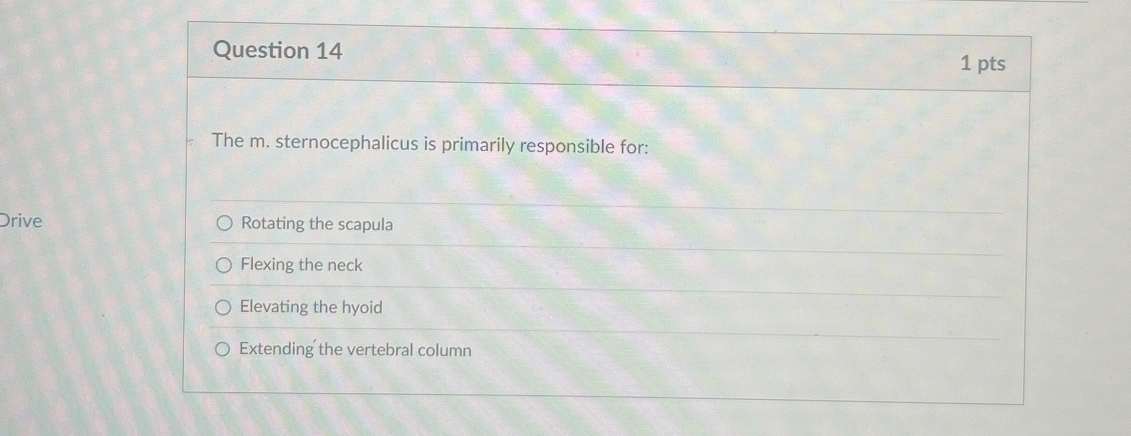 Solved Question 141 ﻿ptsThe m . ﻿sternocephalicus is | Chegg.com