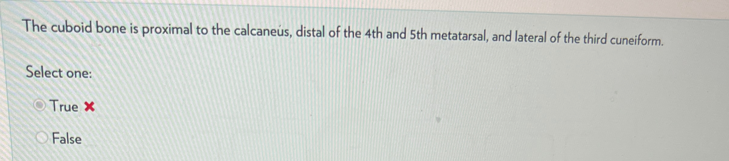 Solved The cuboid bone is proximal to the calcaneus, distal | Chegg.com