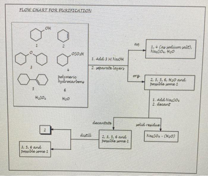 Solved Find the theoretical yield and form a Purification | Chegg.com
