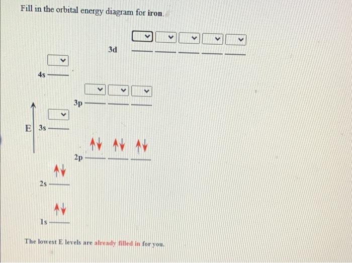 Solved Fill in the orbital energy diagram for iron