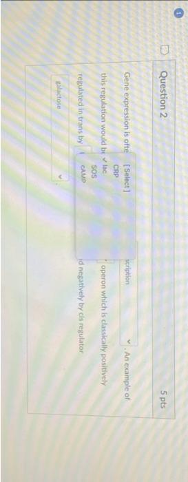 Solved Gene expression is often regulated at the level | Chegg.com