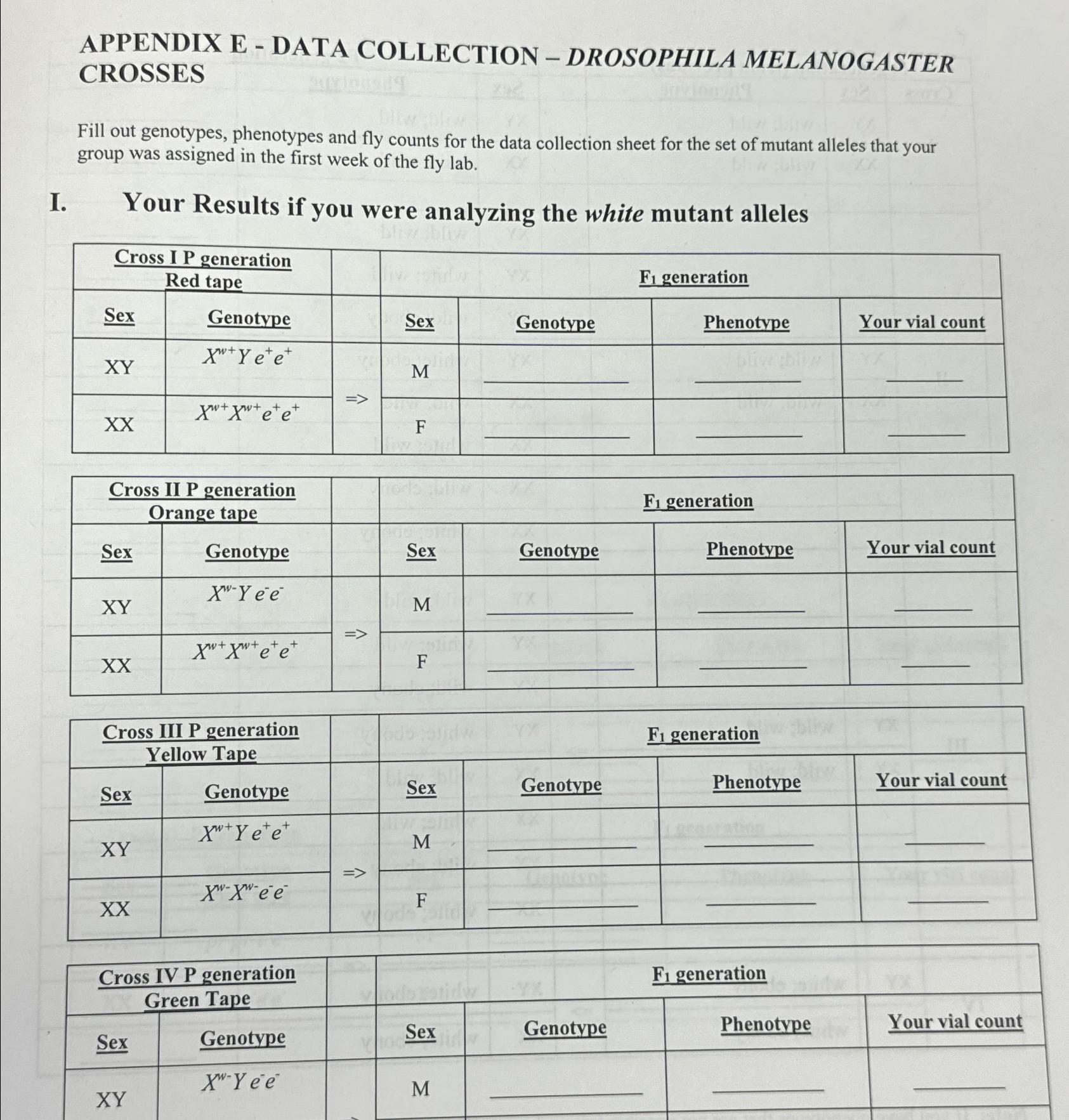 APPENDIX E - DATA COLLECTION - DROSOPHILA | Chegg.com