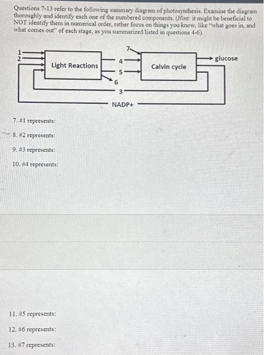 Solved Questions 7−13 refer to the following summary diagram | Chegg.com