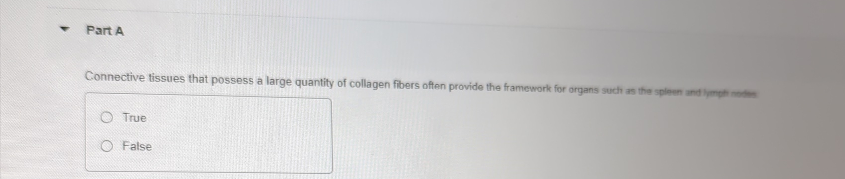 Solved Part AConnective tissues that possess a large | Chegg.com