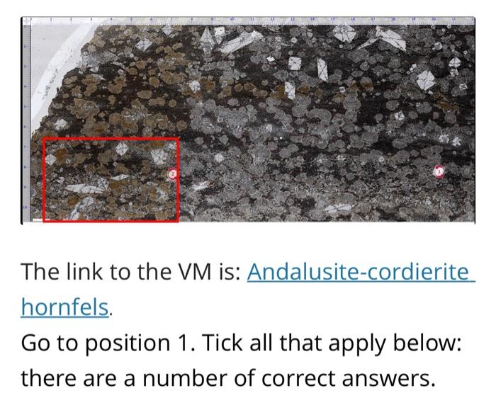 Solved The link to the VM is: Andalusite-cordierite | Chegg.com