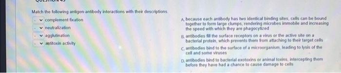 Solved produce antibodies to target, inactivate, and | Chegg.com