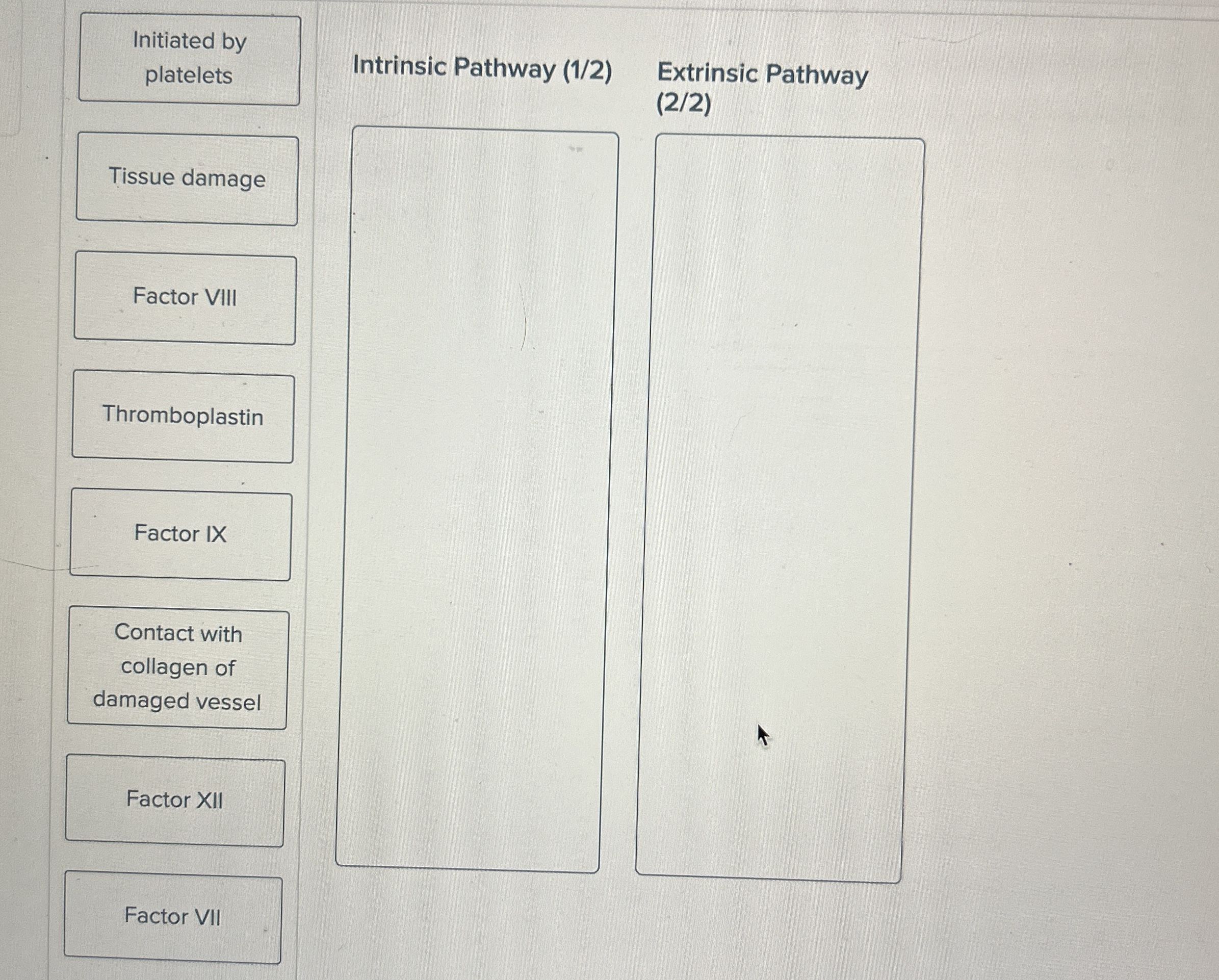Solved Intrinsic Pathway (1/2)ThromboplastinContact with | Chegg.com