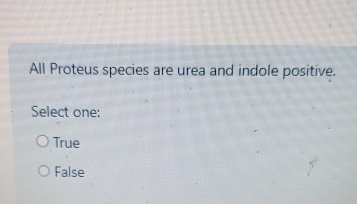 Solved All Proteus species are urea and indole | Chegg.com