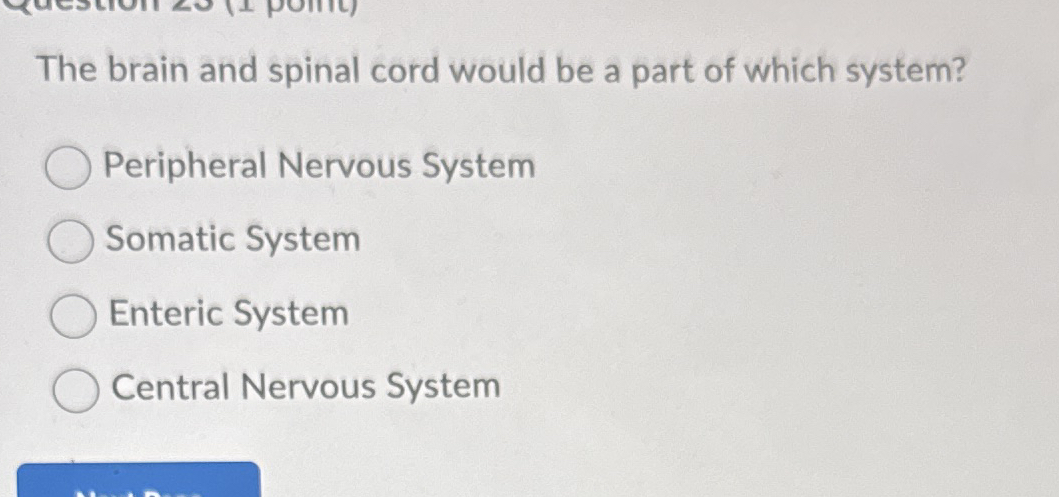 The brain and spinal cord would be a part of which | Chegg.com