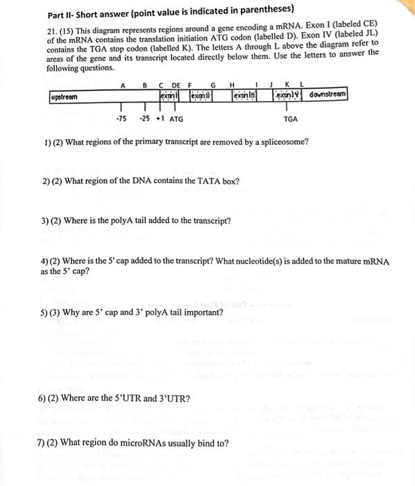 Solved Part II- Short answer (point value is indicated in | Chegg.com