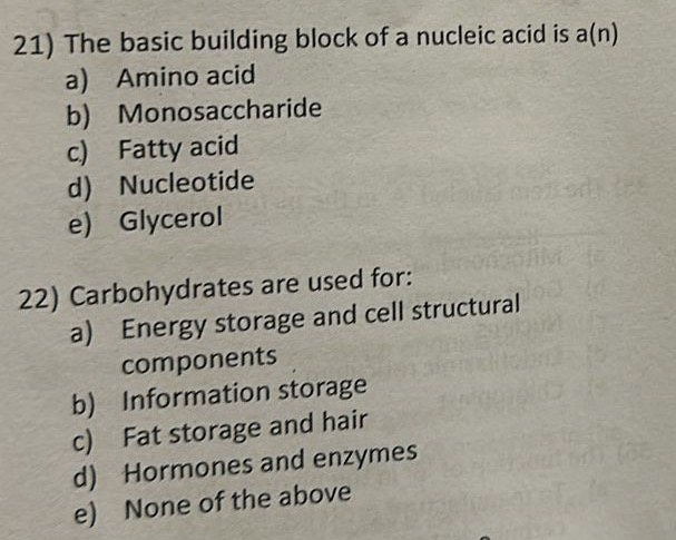 Solved The basic building block of a nucleic acid is a( ﻿n | Chegg.com