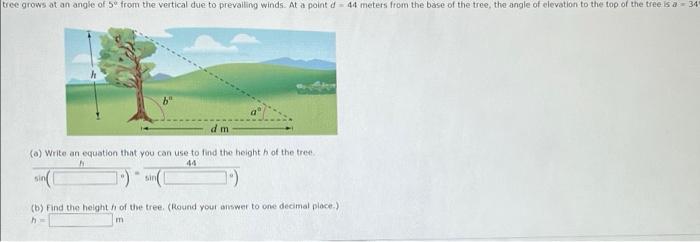 Solved A tree grows at an angle of 5 from the vertical due | Chegg.com