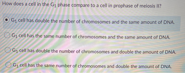 Solved How does a cell in the G1 phase compare to a cell in | Chegg.com