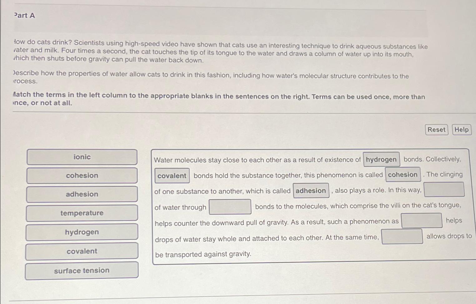 Solved Jart Atow do cats drink? Scientists using high-speed | Chegg.com