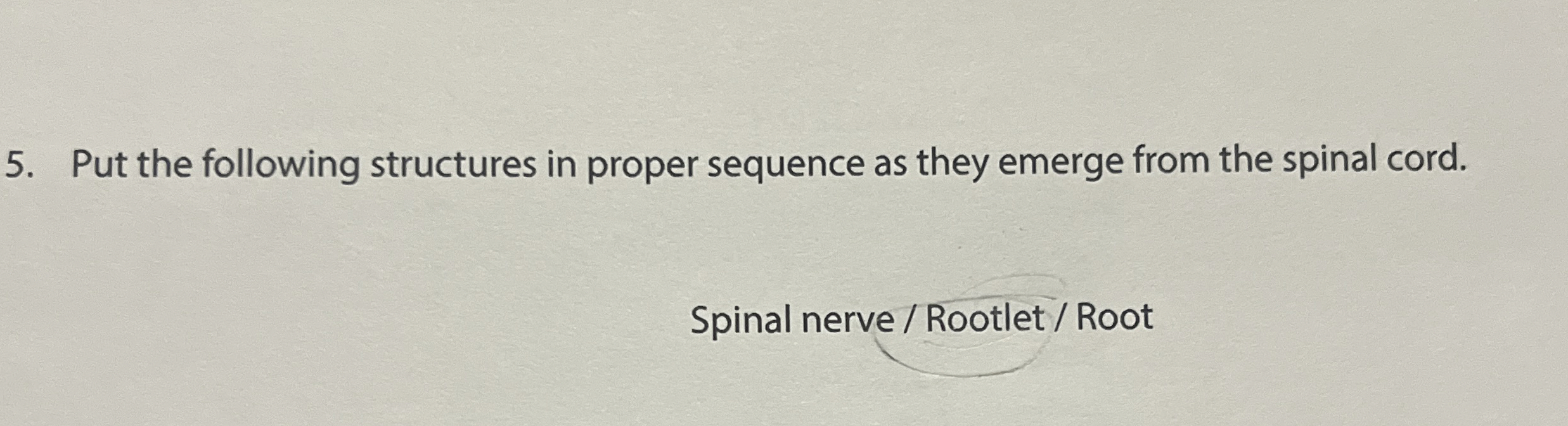Solved Put the following structures in proper sequence as | Chegg.com