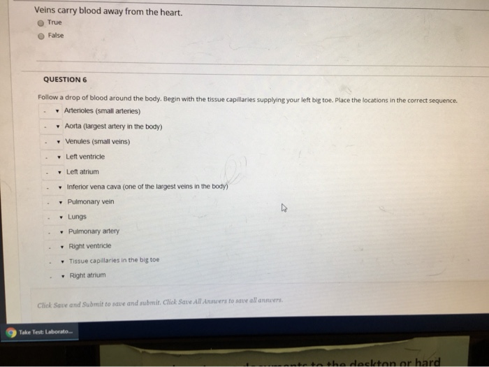 Solved QUESTION 1 The pulmonary artery contains deoxygenated | Chegg.com