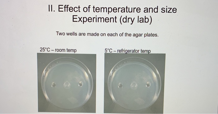 Solved II. Effect of temperature and size Experiment (dry | Chegg.com