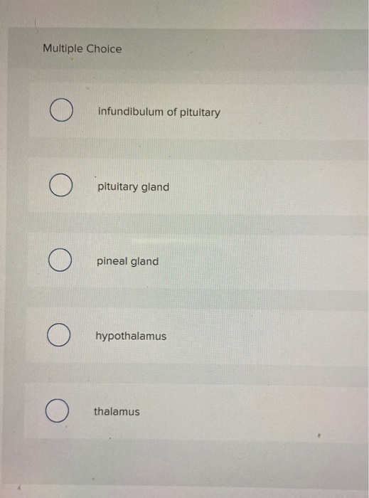 Solved Which structure is highlighted? Multiple Choice O | Chegg.com