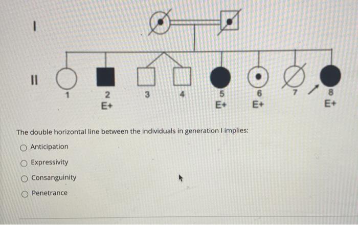 Solved 1 II 3 2 E+ 5 E+ 8 E+ E- The double horizontal line | Chegg.com