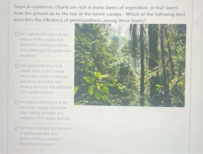 Solved Tropical rainforests clearly are rich in many layers | Chegg.com