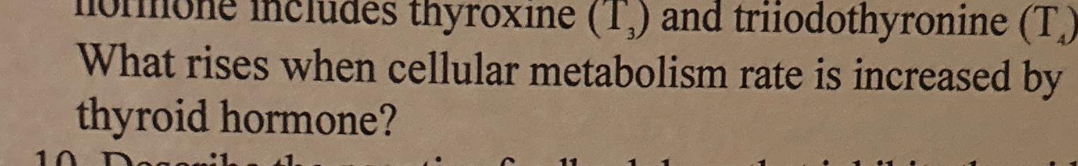 Solved thyroxine (T3) ﻿and triiodothyronine (T4)What rises | Chegg.com