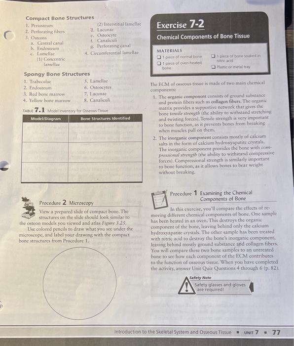 Compact Bone Structures 1 Periosteum 2 Perforating
