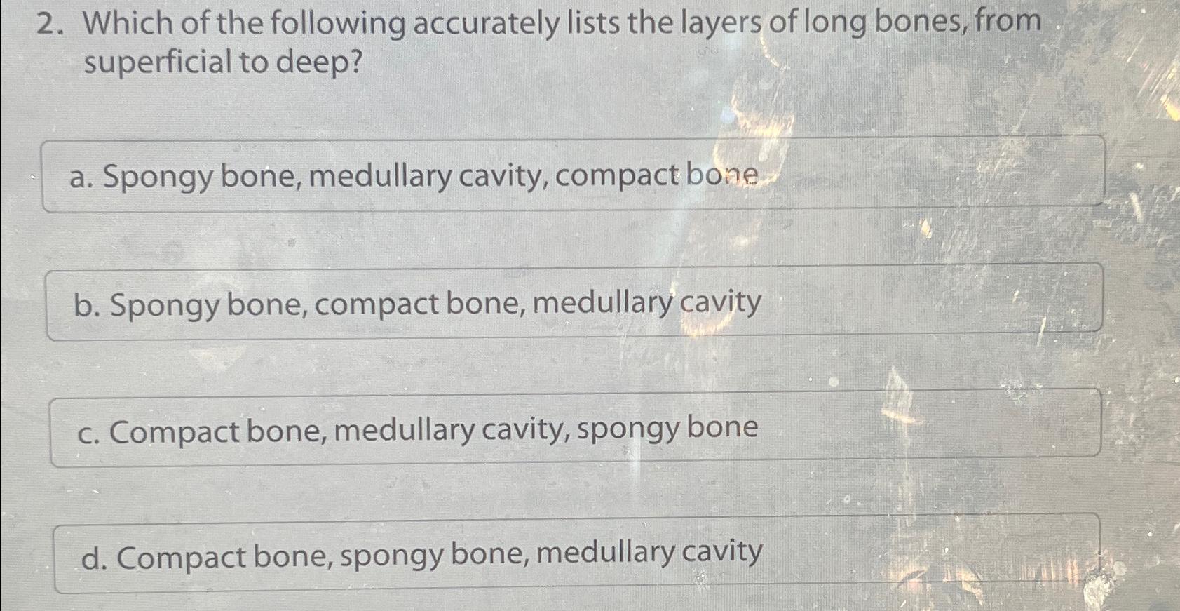 Solved Which of the following accurately lists the layers of | Chegg.com