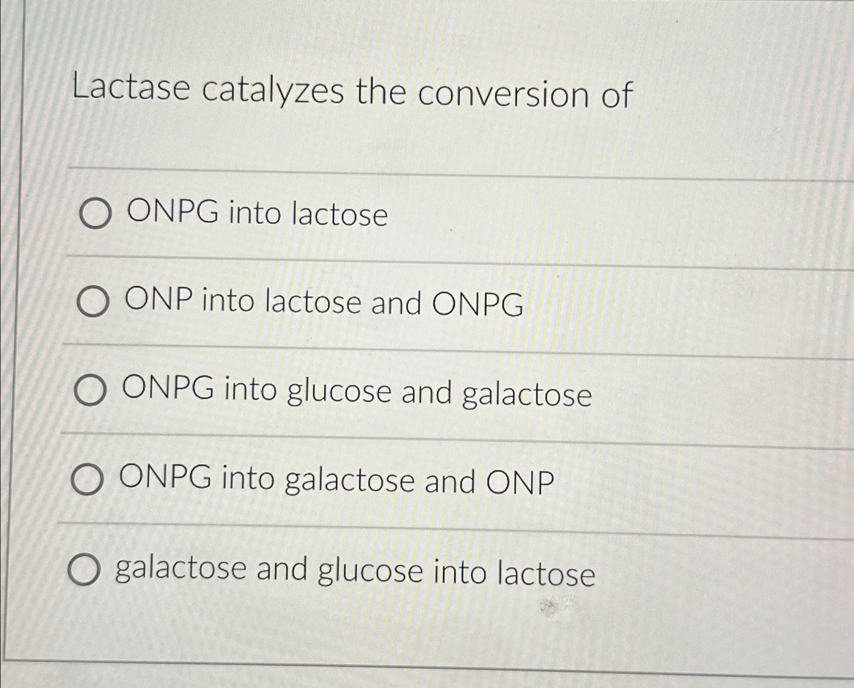 Solved Lactase catalyzes the conversion ofONPG into | Chegg.com