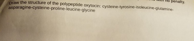 Solved penalty. praw the structure of the polypeptide | Chegg.com