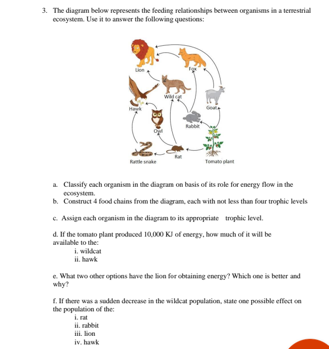 Solved 3. The diagram below represents the feeding | Chegg.com