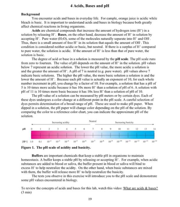 Solved Background You encounter acids and bases in everyday | Chegg.com