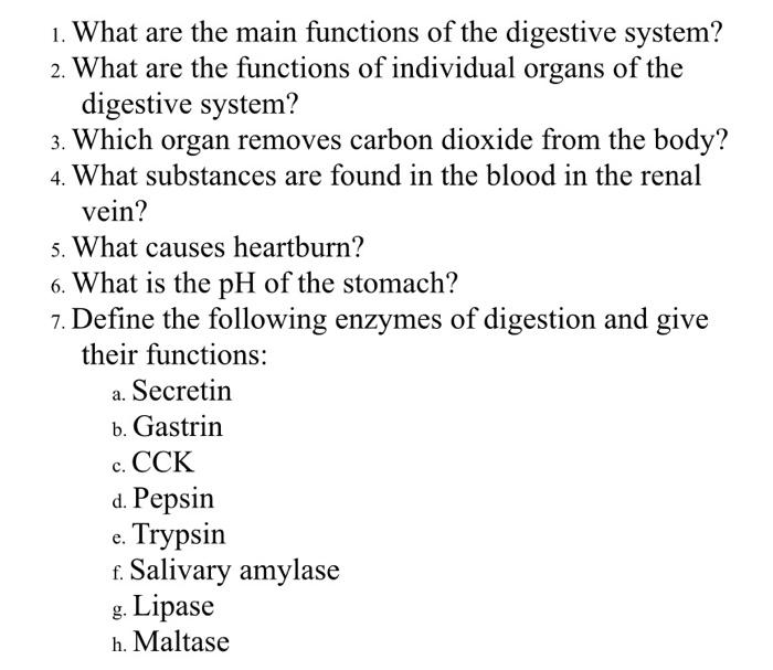 Solved 1. What are the main functions of the digestive | Chegg.com