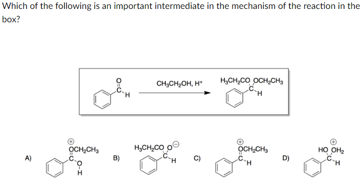 Solved Which of the following is an important intermediate | Chegg.com