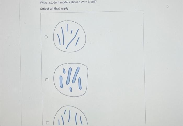 Solved Which student models show a 2n = 6 cell? Select all | Chegg.com