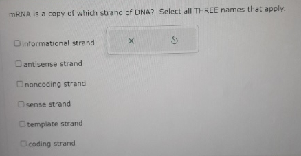 Solved mRNA is a copy of which strand of DNA? Select all | Chegg.com