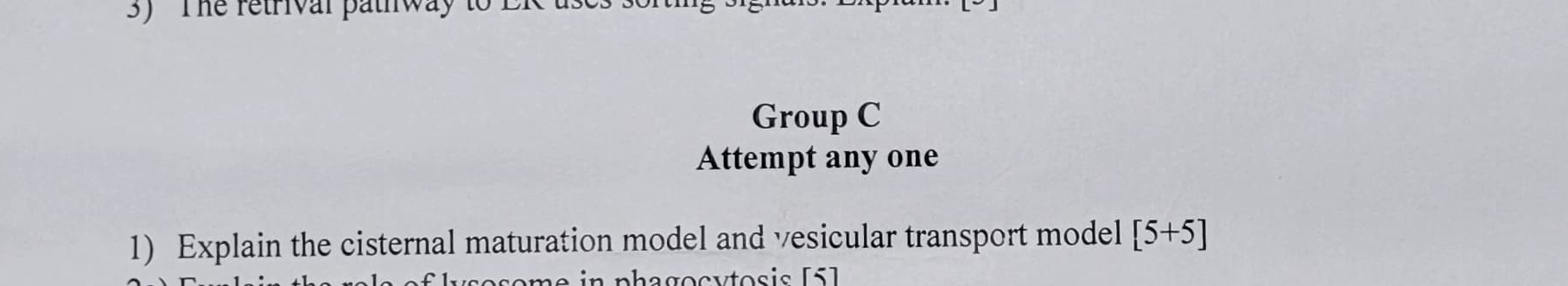 Solved Explain the cisternal maturation model and vesicular | Chegg.com