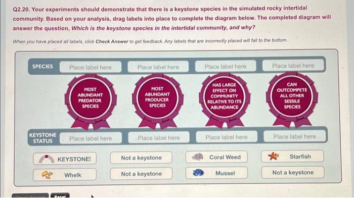 Solved Q2.20. Your experiments should demonstrate that there | Chegg.com