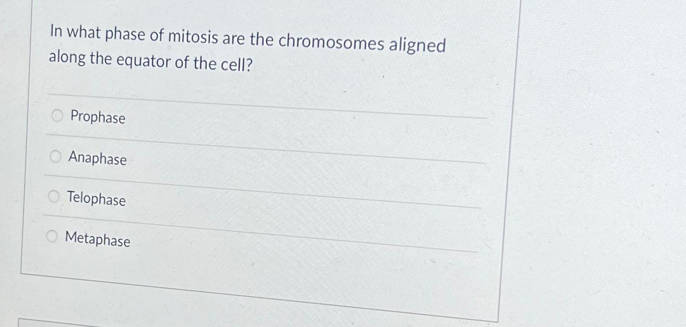 Solved In what phase of mitosis are the chromosomes aligned | Chegg.com